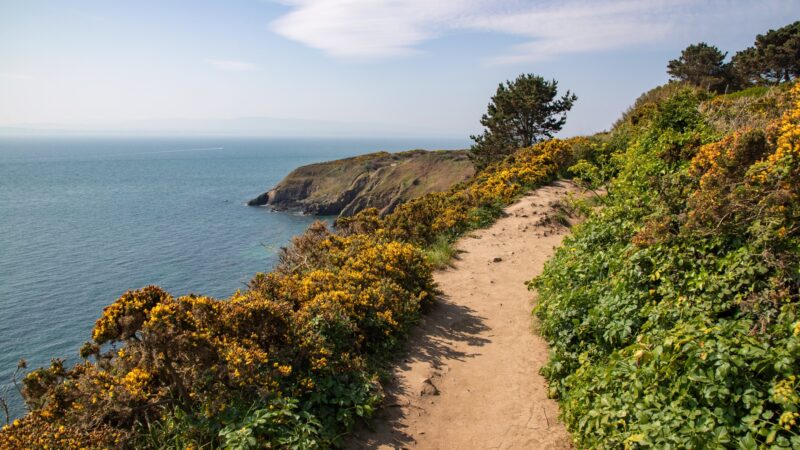 Start Here - Your Irish Adventure